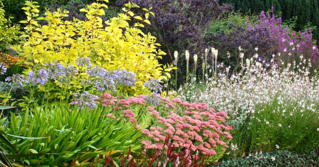 How To Grow A Water-Wise Garden