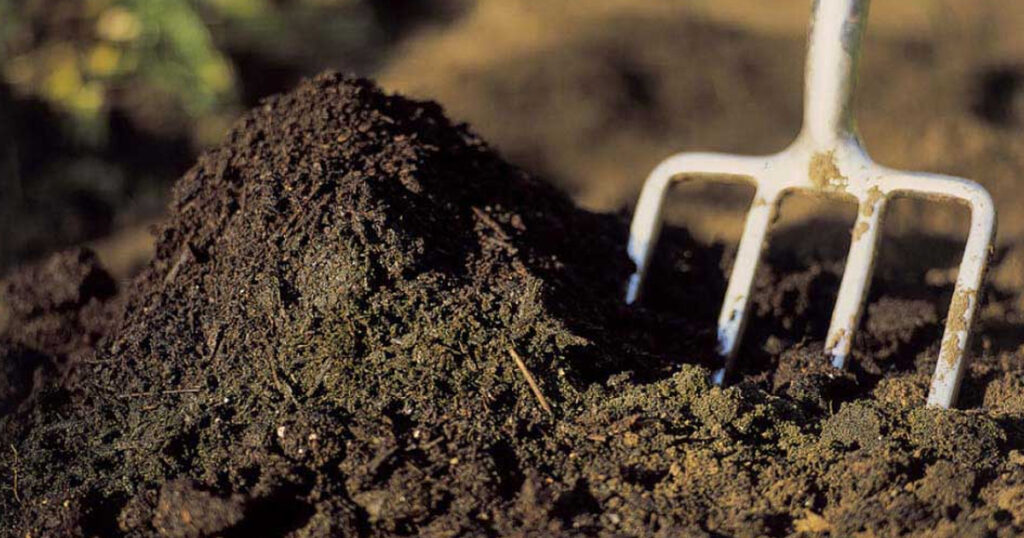 What Is Soil Made Of